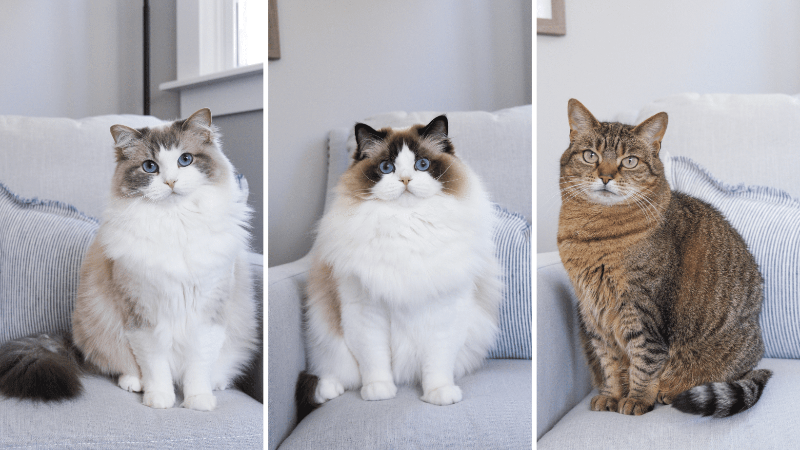 About - Michelle Frohman